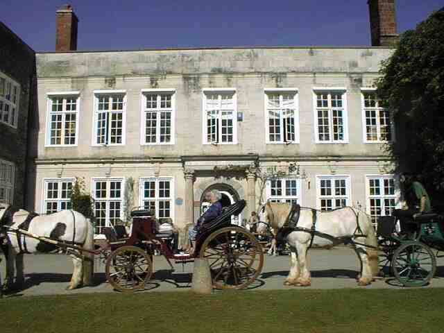 HALIEN Cockington - Intro